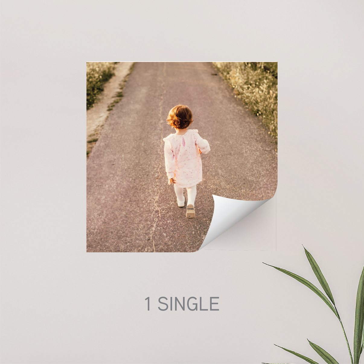 Square Photo Decal - Photo Wall Sticker - A Creative Hart